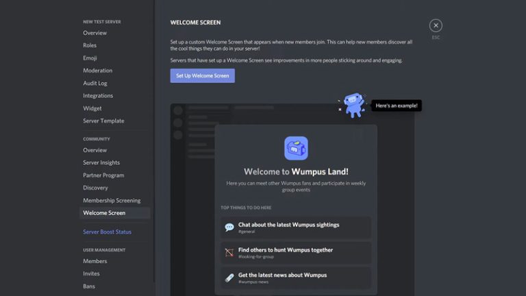 Verification System Discord - How To Set It Up