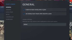 How To Enable Debug Mode & Cheats In Project Zomboid