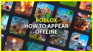 How To Appear Offline On Roblox? (Answered) - Gamer Tweak