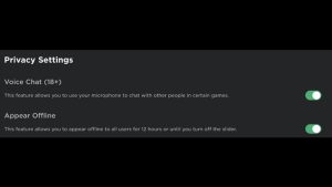 How To Appear Offline On Roblox? (Answered) - Gamer Tweak