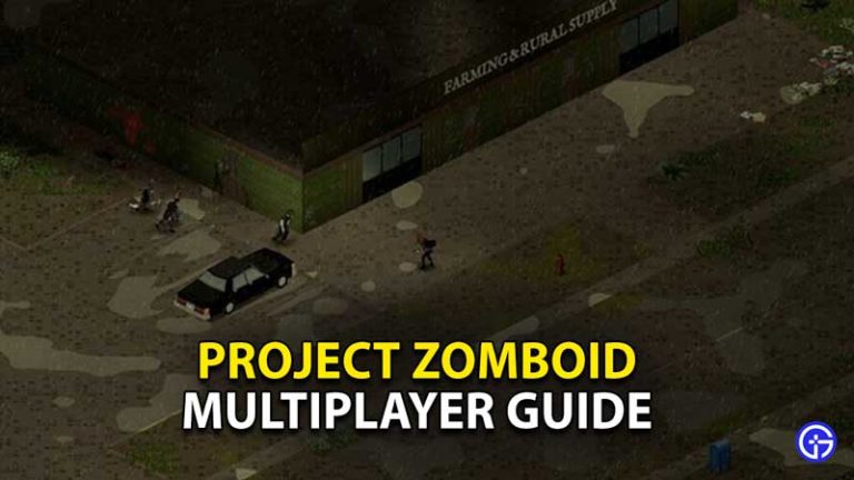 Project Zomboid Multiplayer - How To Play With Friends & Add?