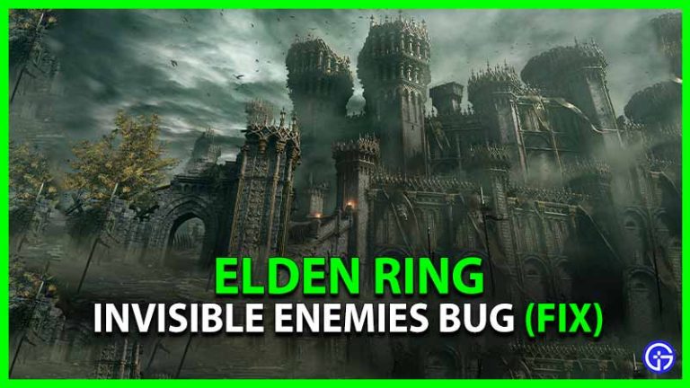 How To Fix Invisible Enemies Glitch In Elden Ring - Gamer Tweak
