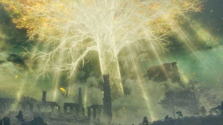 What To Do After Burning Erdtree In Elden Ring? - Gamer Tweak