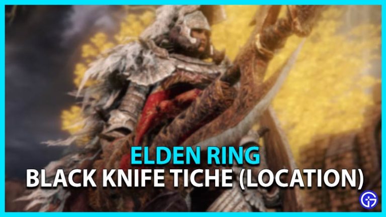 Elden Ring - How To Get Black Knife Tiche Summon - Gamer Tweak