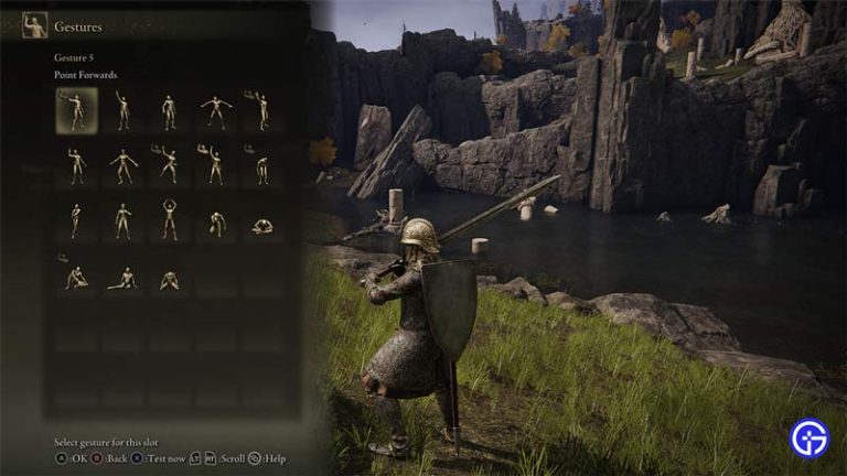 How To Emote & Gesture In Elden Ring - Gamer Tweak