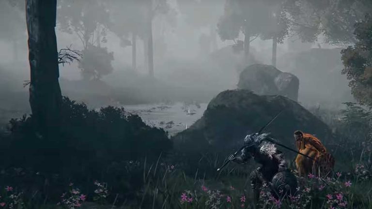 Elden Ring: How To Sprint, Sneak Attack & Hide From Enemies