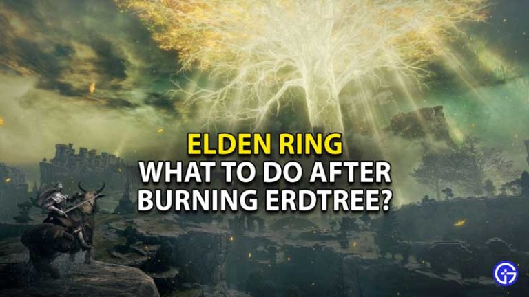 What To Do After Burning Erdtree In Elden Ring? - Gamer Tweak