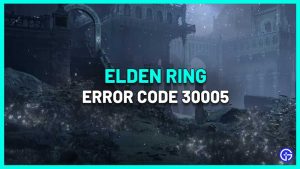Fix Elden Ring Error Code 30005 - Gamer Tweak