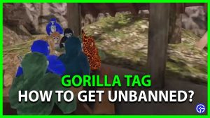 How To Get Unbanned From Gorilla Tag (2023 Updated)
