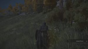 Where To Farm Erdleaf Flower In Elden Ring (Location) - Gamer Tweak
