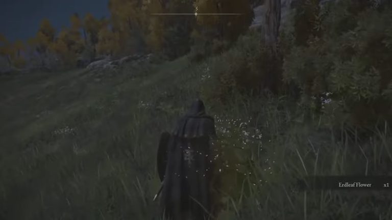 Where To Farm Erdleaf Flower In Elden Ring (Location) - Gamer Tweak