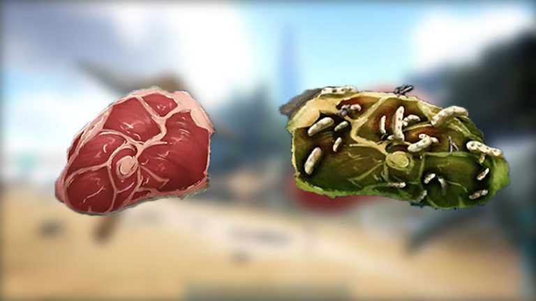 ARK: Survival Evolved - How To Spoil Meat Fast - Gamer Tweak
