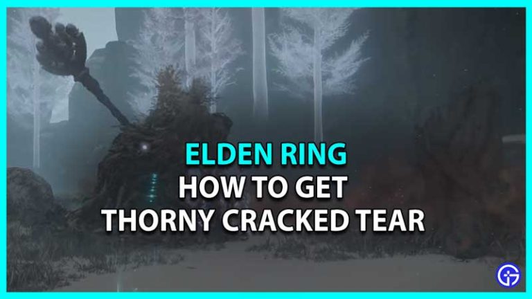Elden Ring Location Guide: Get Thorny Cracked Tear - Gamer Tweak