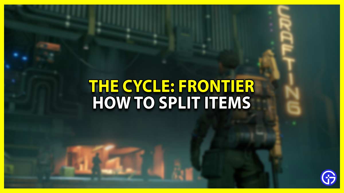 The Cycle: Frontier - How To Split Items (With Inventory & Squad)
