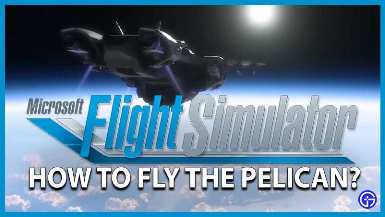 Flight Simulator: How To Fly The Pelican To Space - Gamer Tweak