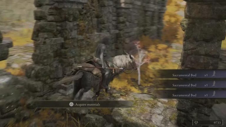 Elden Ring - Where To Find Sacramental Bud (Location) - Gamer Tweak