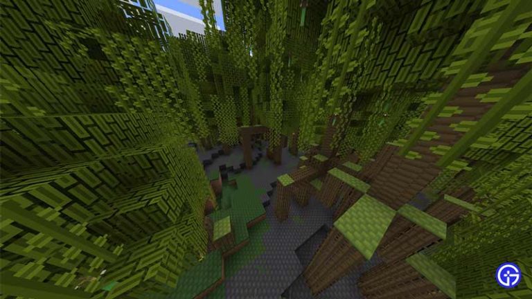 Best Mangrove Swamp Seeds In Minecraft 1.19 - Gamer Tweak