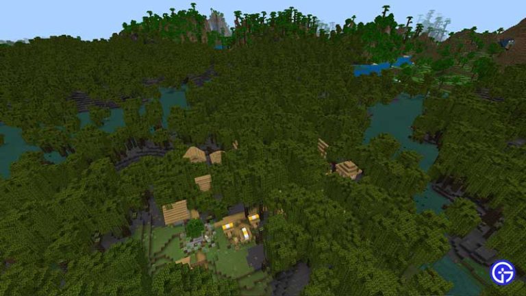 Best Mangrove Swamp Seeds In Minecraft 1.19 - Gamer Tweak