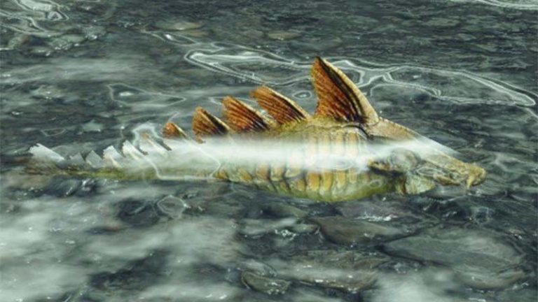 Monster Hunter Rise: Sunbreak- How To Get Steel Gajau Whiskers