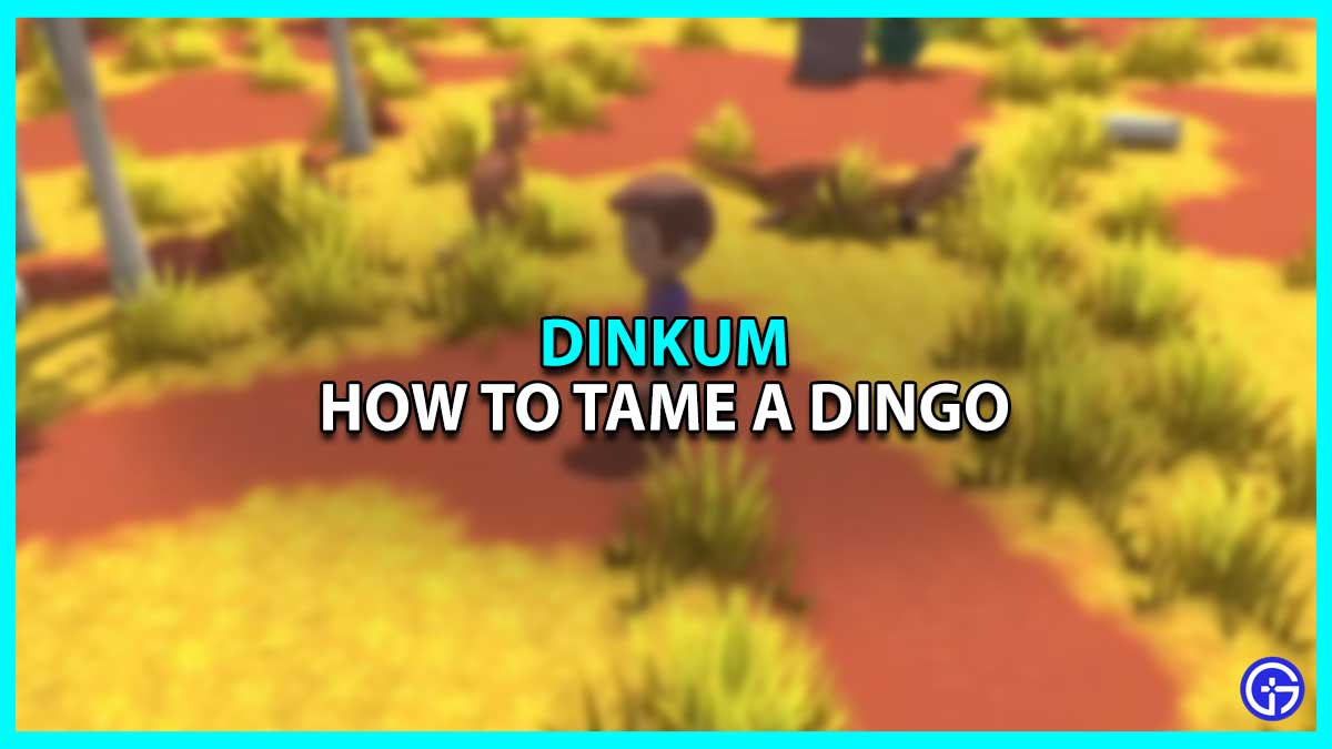 Dinkum: How To Tame A Dingo With A Collar - Gamer Tweak