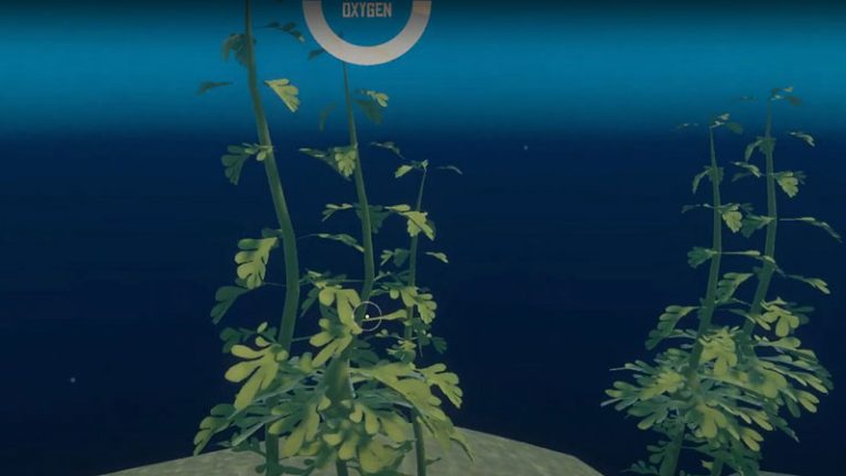 Raft: How to Harvest Seaweed - Gamer Tweak