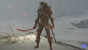 How To Get Mushroom Armor Set In Elden Ring & Locations
