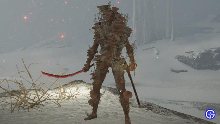 How To Get Mushroom Armor Set In Elden Ring & Locations