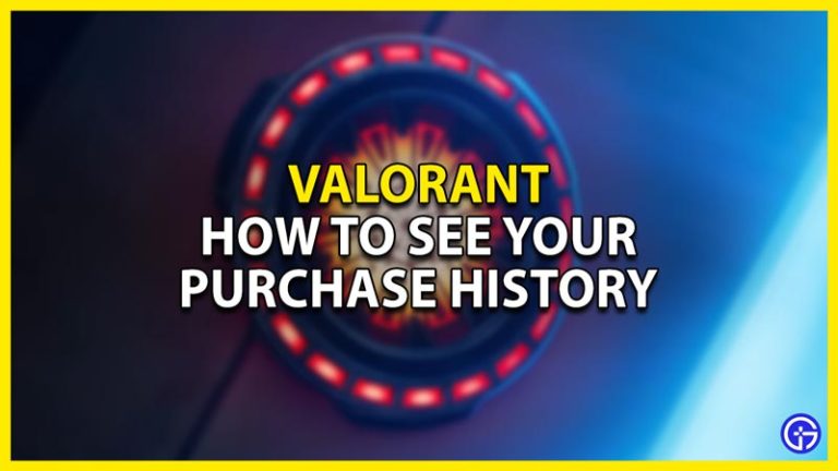 How To Check Your Purchase History In Valorant - Gamer Tweak