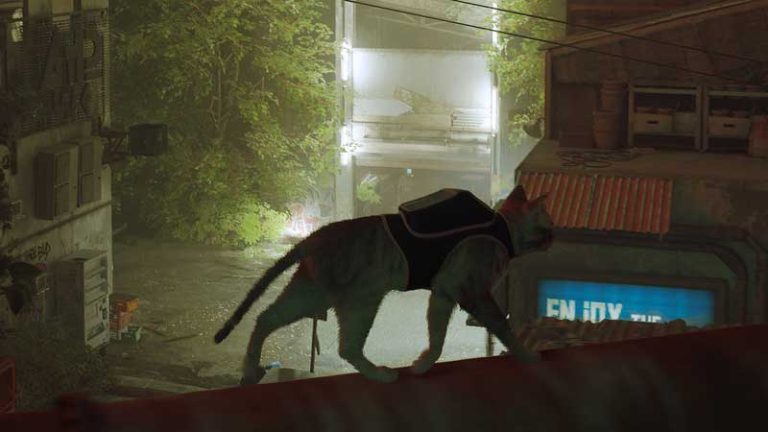 Stray: How To Speedrun in Under 2 Hours For I Am Speed Trophy