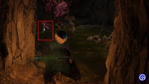 How To Get Mushroom Armor Set In Elden Ring & Locations