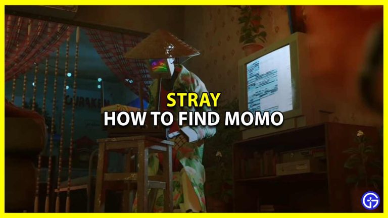 Where to Find Momo in Stray - Gamer Tweak