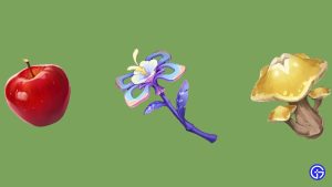 Araesha Delicious Riddles Answers For Genshin Impact