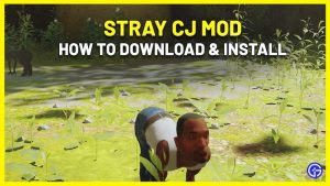 How To Download & Install Stray CJ Mod - Gamer Tweak
