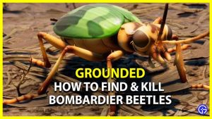 How To Find & Kill Bombardier Beetles In Grounded (Locations)