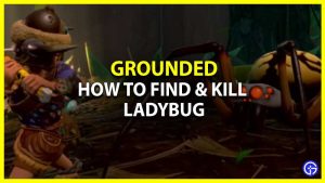 How To Find & Kill Ladybug In Grounded (Locations)