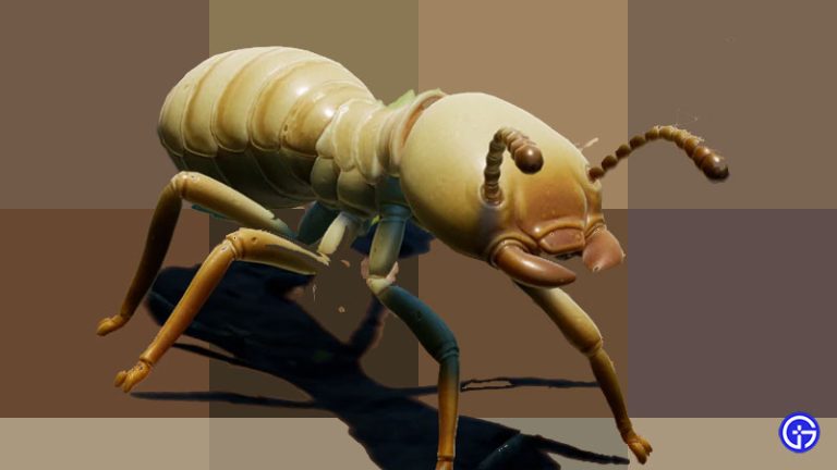 How To Find Termites In Grounded (Locations & Materials)