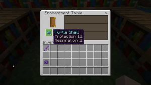 What Does Respiration Enchantment Do In Minecraft?: How To Get