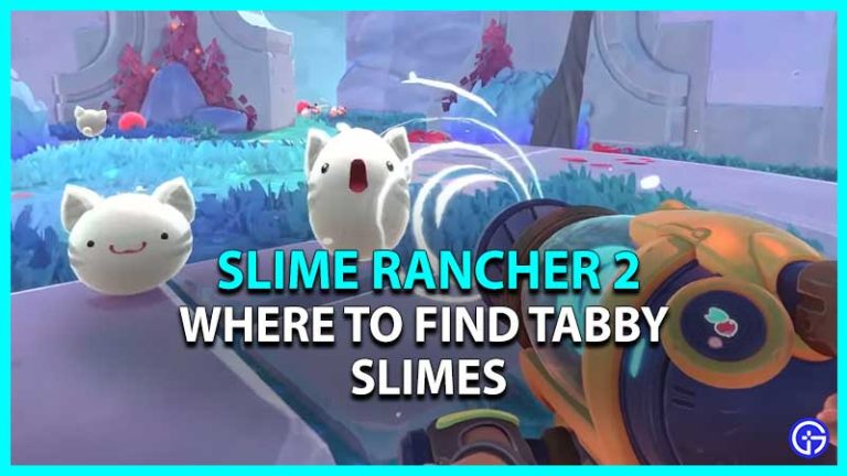 Where To Find Tabby Slimes In Slime Rancher 2 - Gamer Tweak