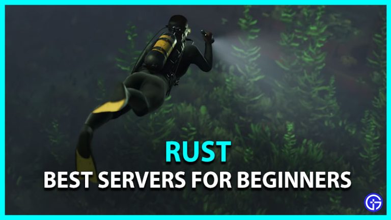 Rust: Best Servers For Beginners & How To Find Them