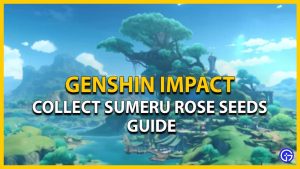 Genshin Impact Collect Sumeru Rose Seeds: How To Complete