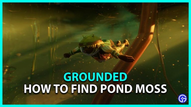 Grounded: How To Find Pond Moss - Gamer Tweak