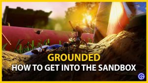 Grounded: How To Get Into The Sandbox - Gamer Tweak