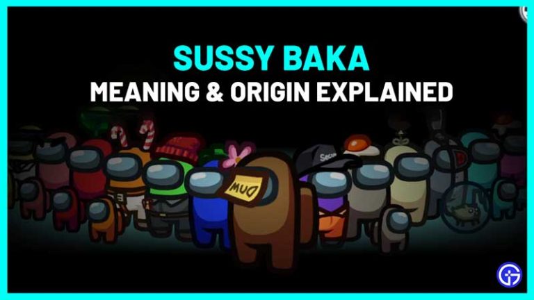 What Does Sussy Baka Mean? Origin, Meme & Examples