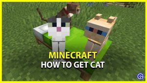 How To Get Cat In Minecraft (Tame Guide) - Gamer Tweak