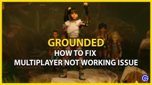 How To Fix Grounded Multiplayer Not Working Issue