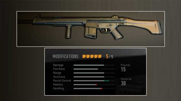 Best Marksman Rifle In Modern Warfare 2 (SP-R 208 vs LM-S)