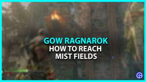 God Of War Ragnarok: How To Get To Mist Fields - Gamer Tweak