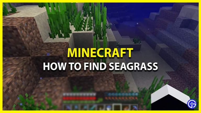 Best Ways To Get Seagrass In Minecraft - Gamer Tweak