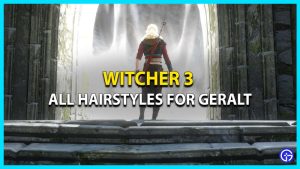 A List Of All Hairstyles In The Witcher 3 - Gamer Tweak
