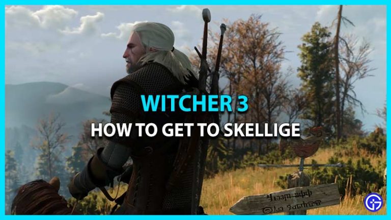 How To Reach Skellige In Witcher 3 - Gamer Tweak